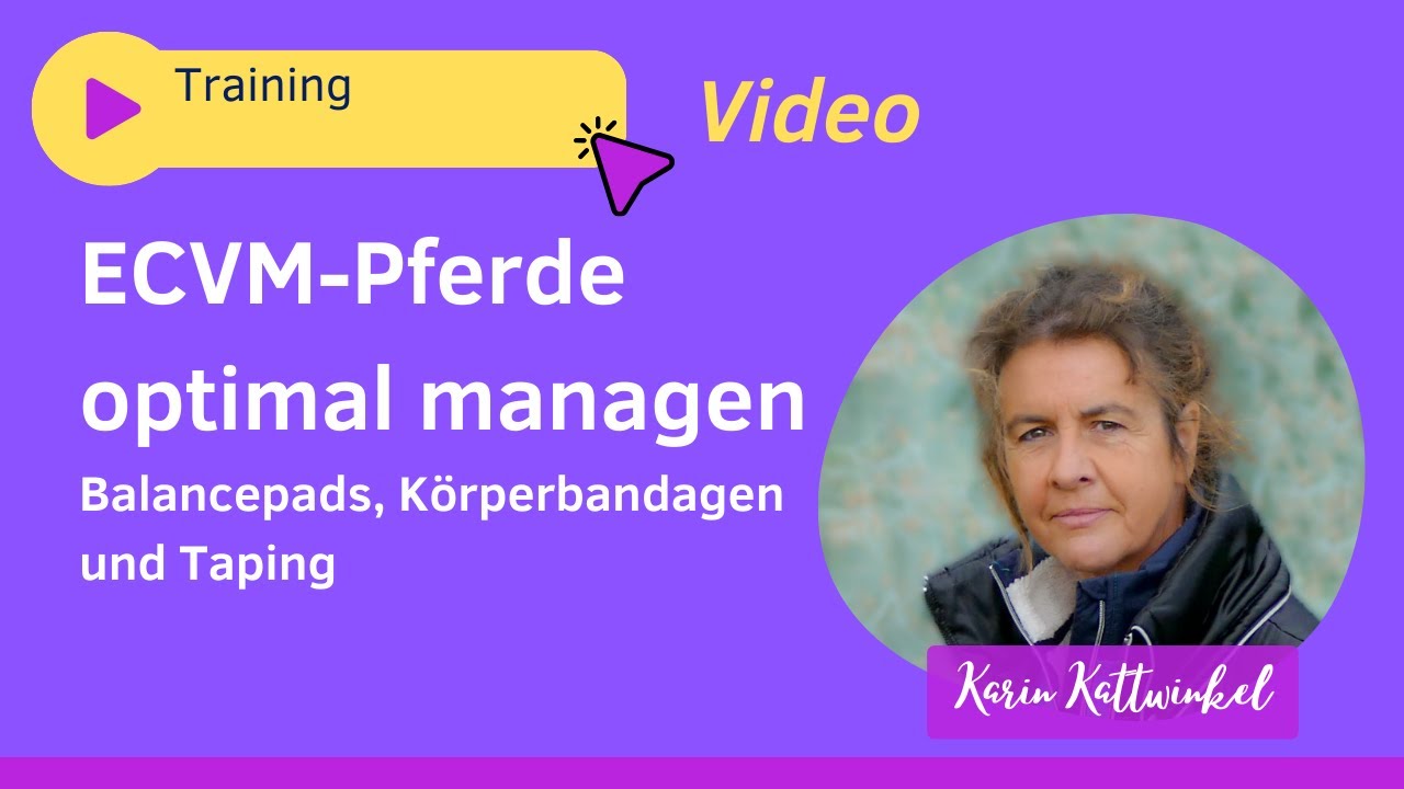 ECVM-Pferde optimal managen: Körperbandagen, Balancepads, Taping ...