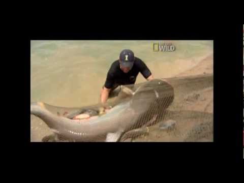 Zeb Hogan from Nat Geo Channel - YouTube