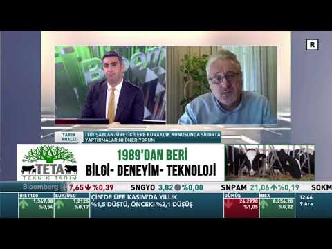 Teta Tarım | Bant Reklam Bloomberg HT