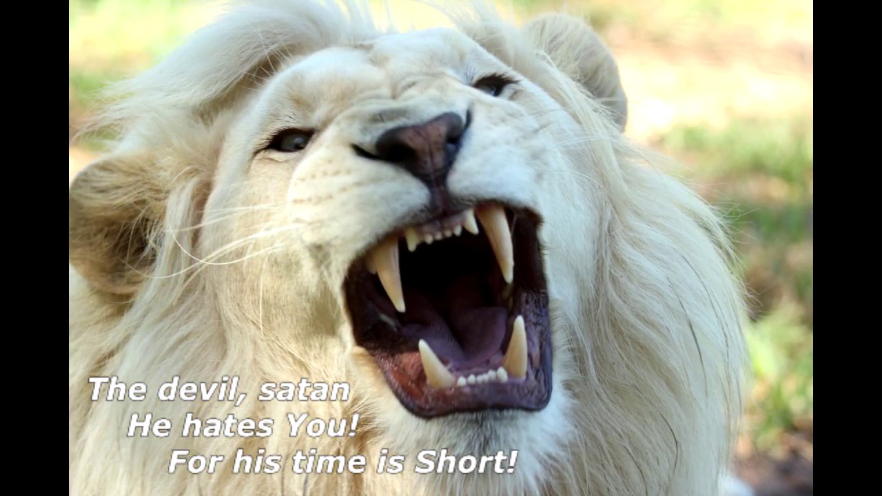 Did You Know? - The Devil, Satan is an Evil Roaring Lion Seeking Whom ...