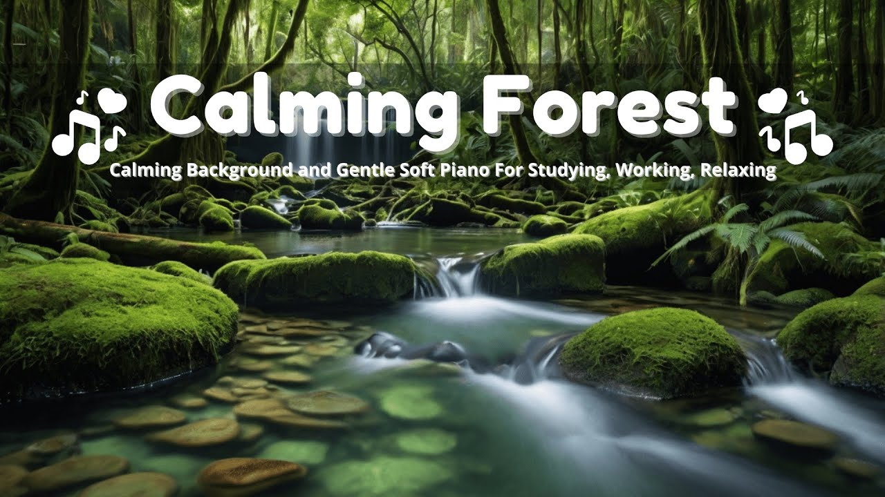 Calming Forest - Relaxing Slow Piano For Healing, Studying, Working ...