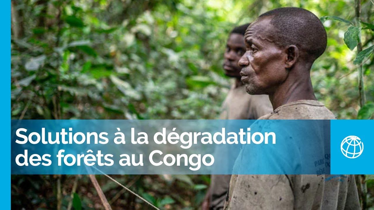 Solutions centrées sur les personnes à la dégradation des forêts en République démocratique du ...