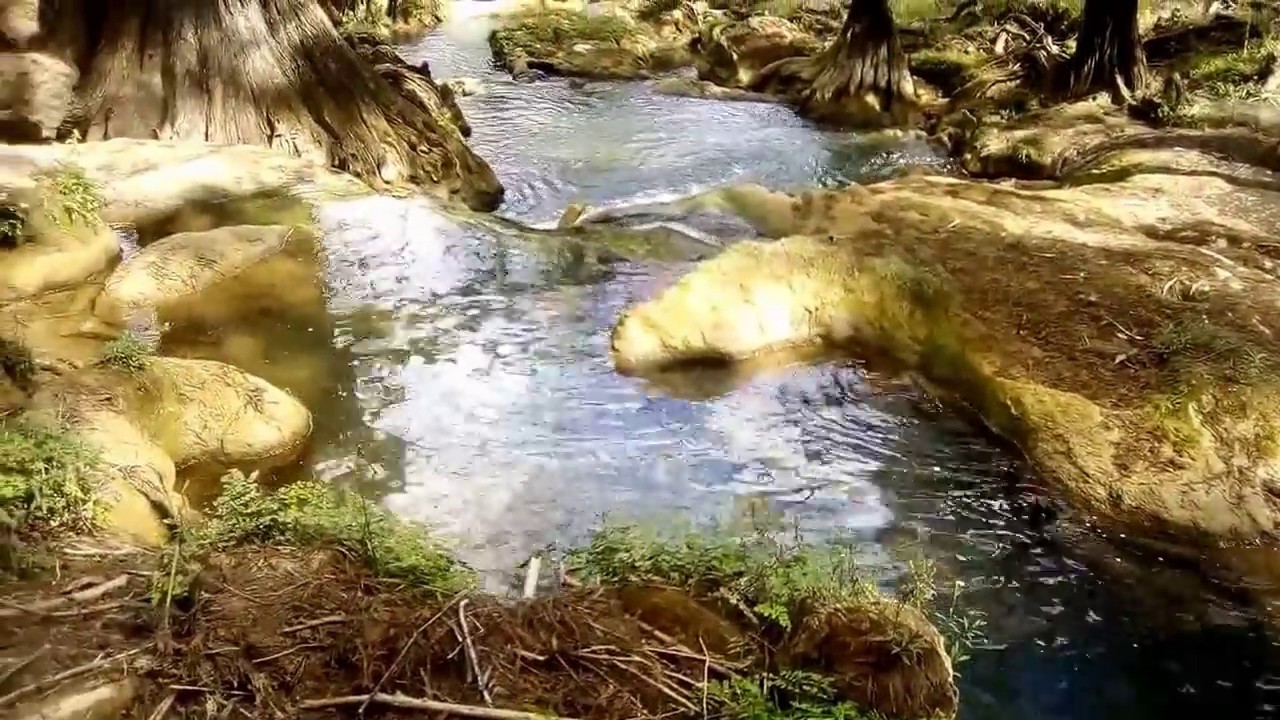 Rio de el Vado Oaxaca - YouTube