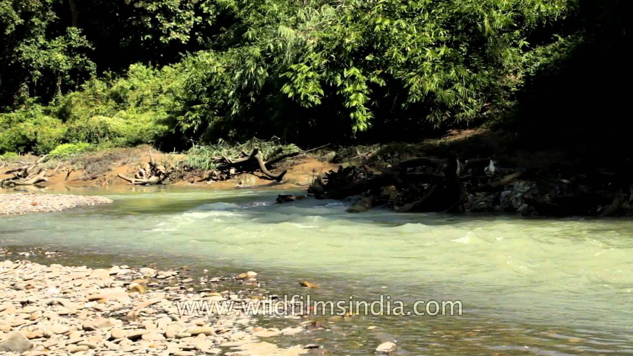 Nagaland's Doyang river - YouTube