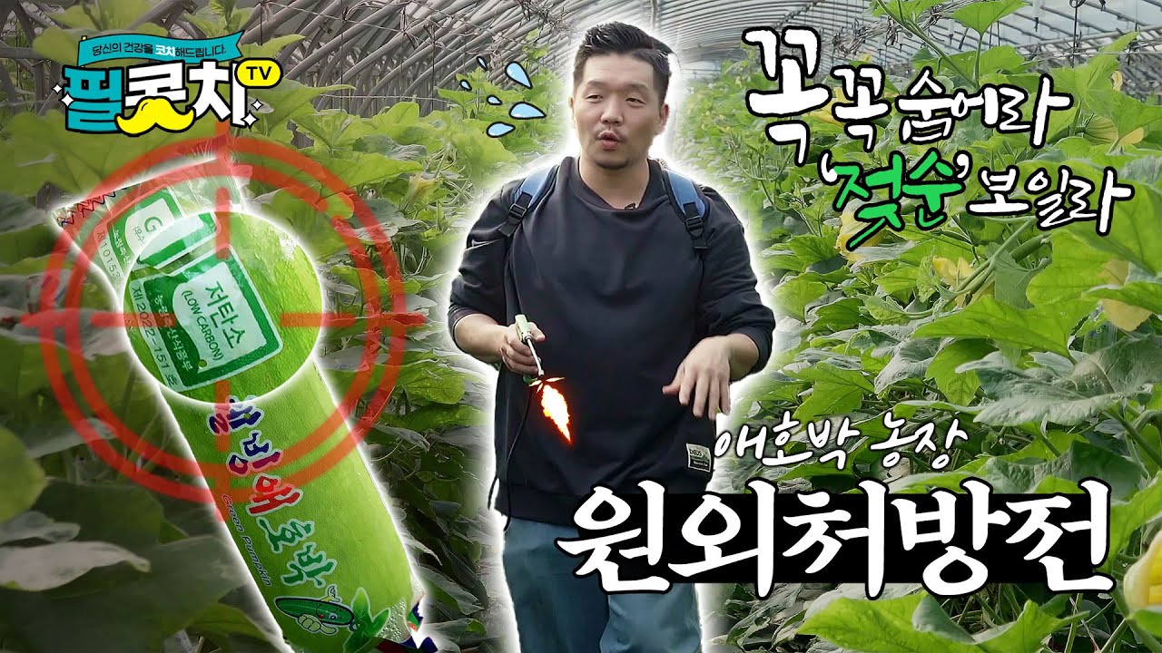 원외처방전 꼭꼭 숨어라 젖순 보일라 👀ㅣ필콧치가 지금 당신의 일상을 찾아갑니다 Youtube