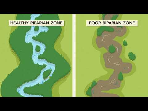 What Is A Buffer Zone In Ecology