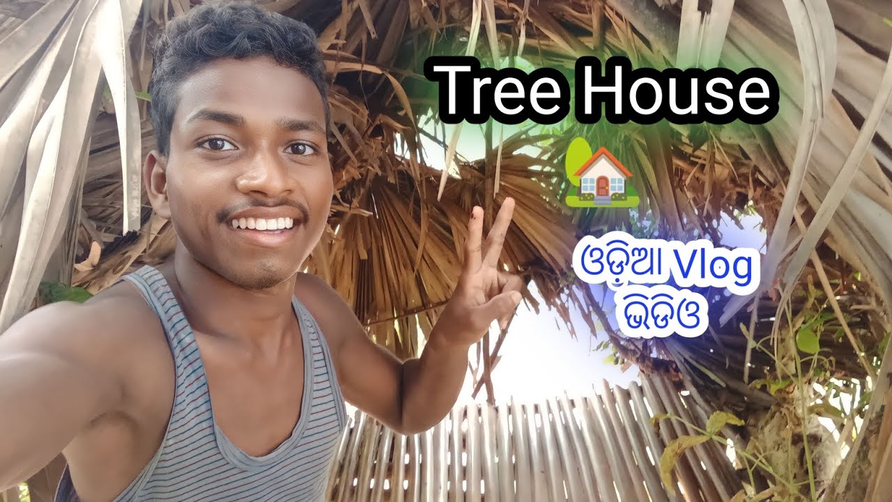 Tree House 🏡 ଓଡ଼ିଆ Vlog ଭିଡିଓ luxury house - YouTube