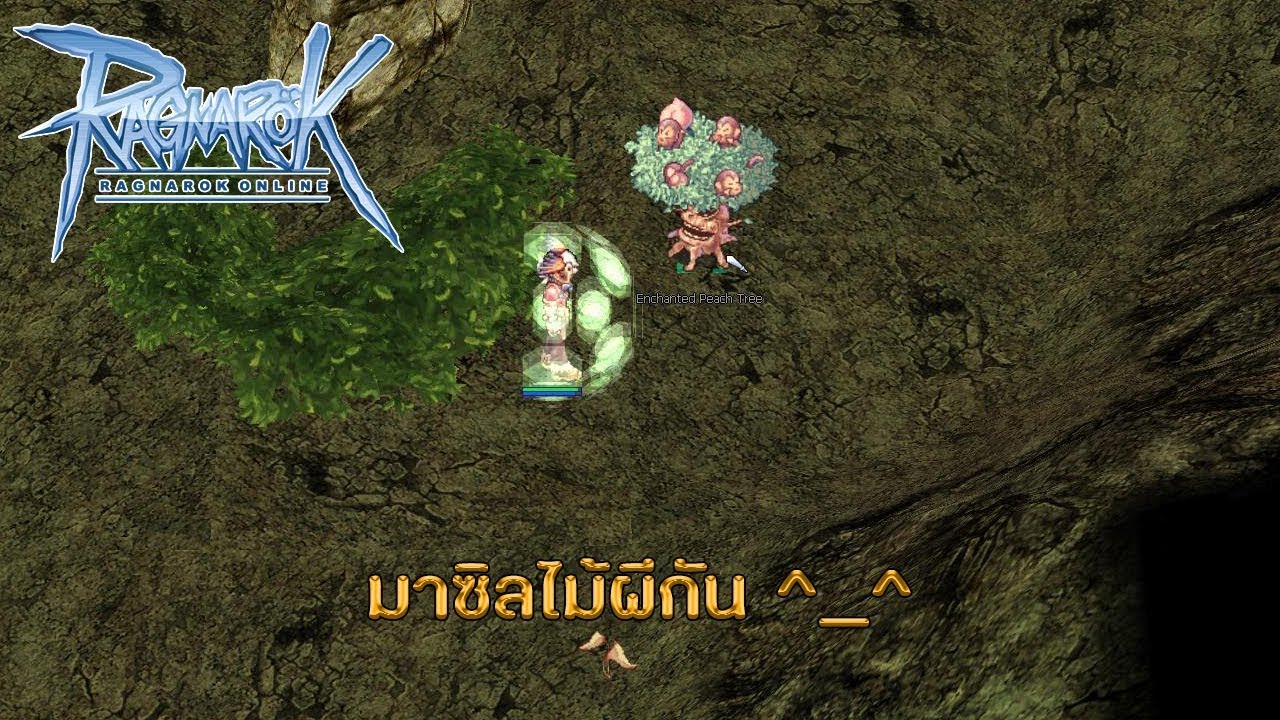 Ragnarok Online - ไปซิลไม้ผีกัน (Dead Branch Hunt)【Live】 - YouTube