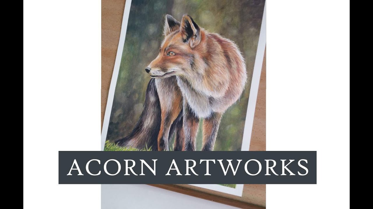 Acorn Artworks - Time lapse fox painting tutorial - Inktense - YouTube