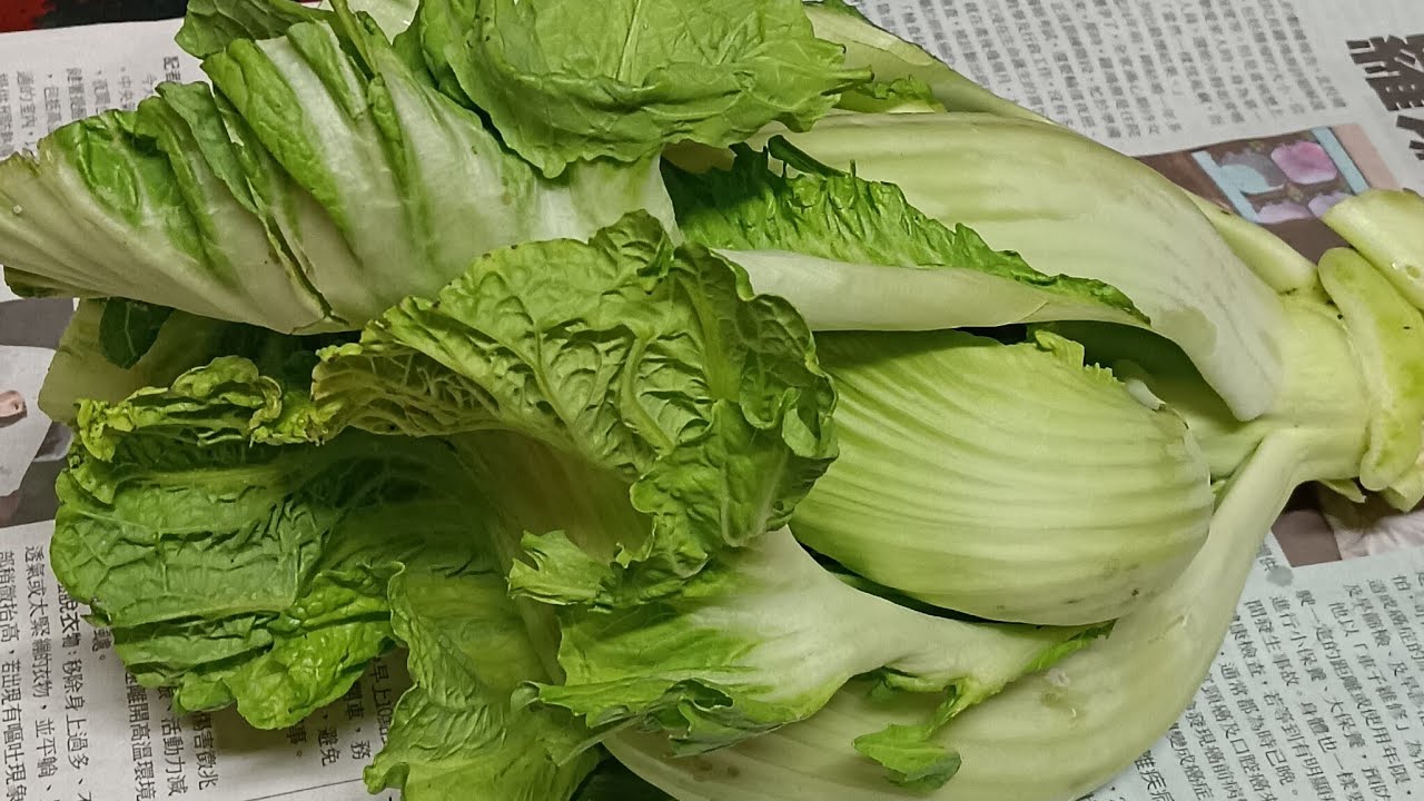 masak siang buat majikan taiwan|| tumis sawi pahit ala masakan taiwan ...