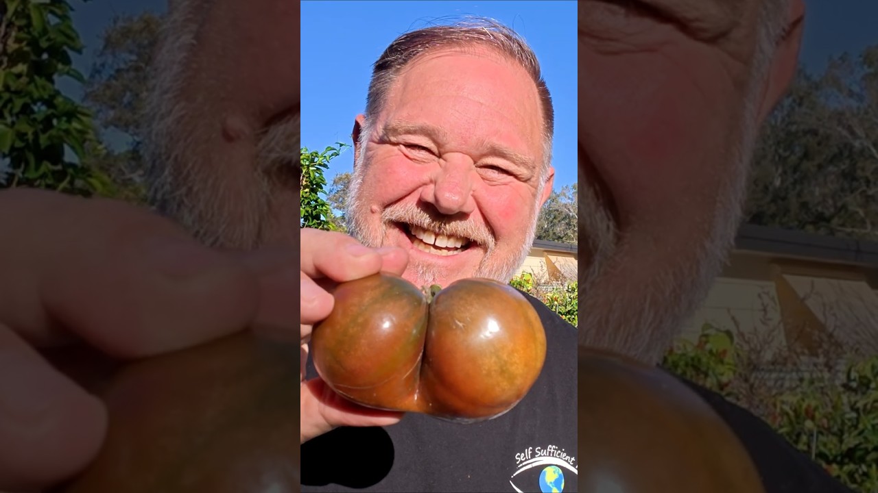 Farming - Self Sufficient Me