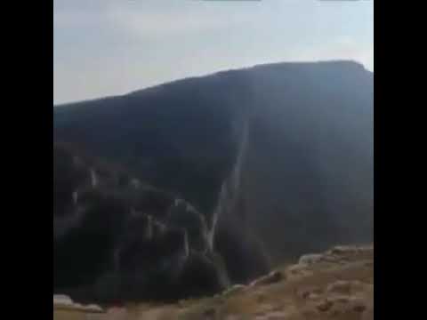 10 Şubat 2021
