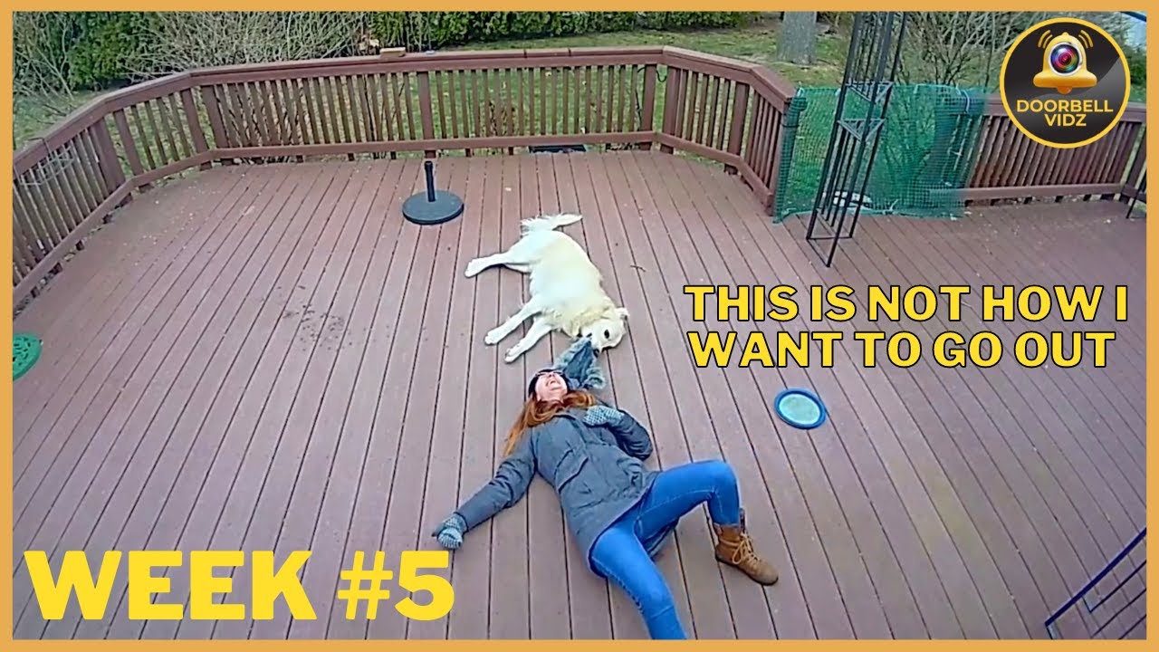 Funny moments caught on a Ring doorbell - YouTube