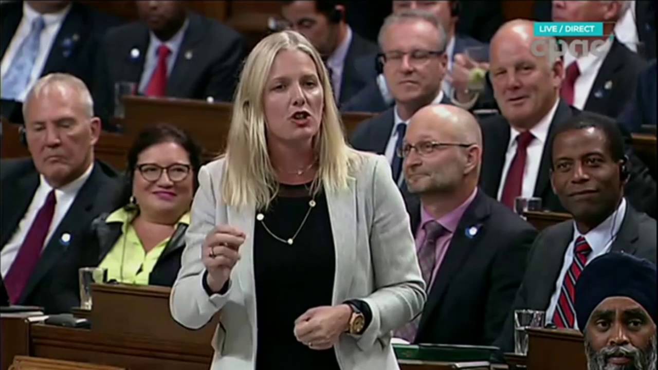 MP David Anderson on the Liberal climate taxation fixation - YouTube