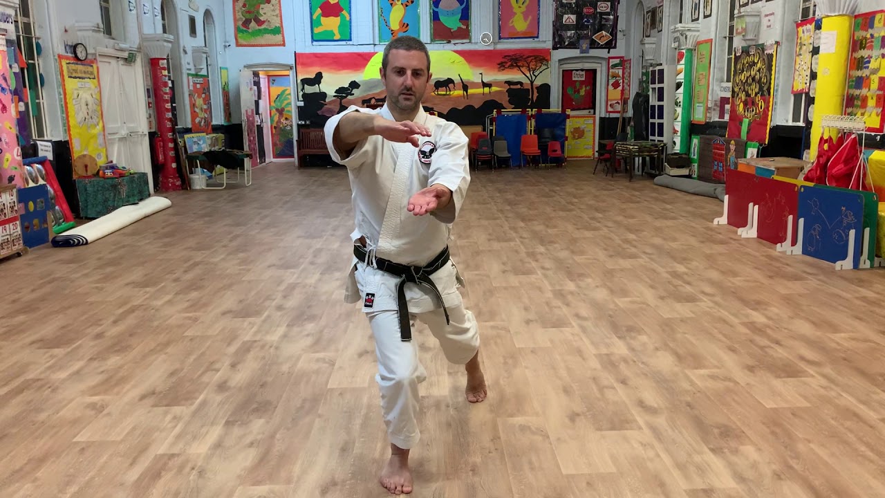 Gojuryu Kata Saifa #9- Final move, half Mawashi Uke and double Palm ...