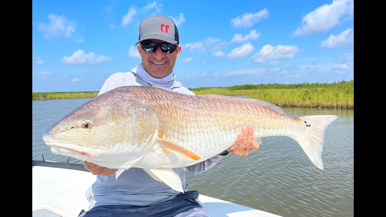 Sight Casting Bullreds on the Fly | Cocodrie Louisiana with Marsh Dawn ...