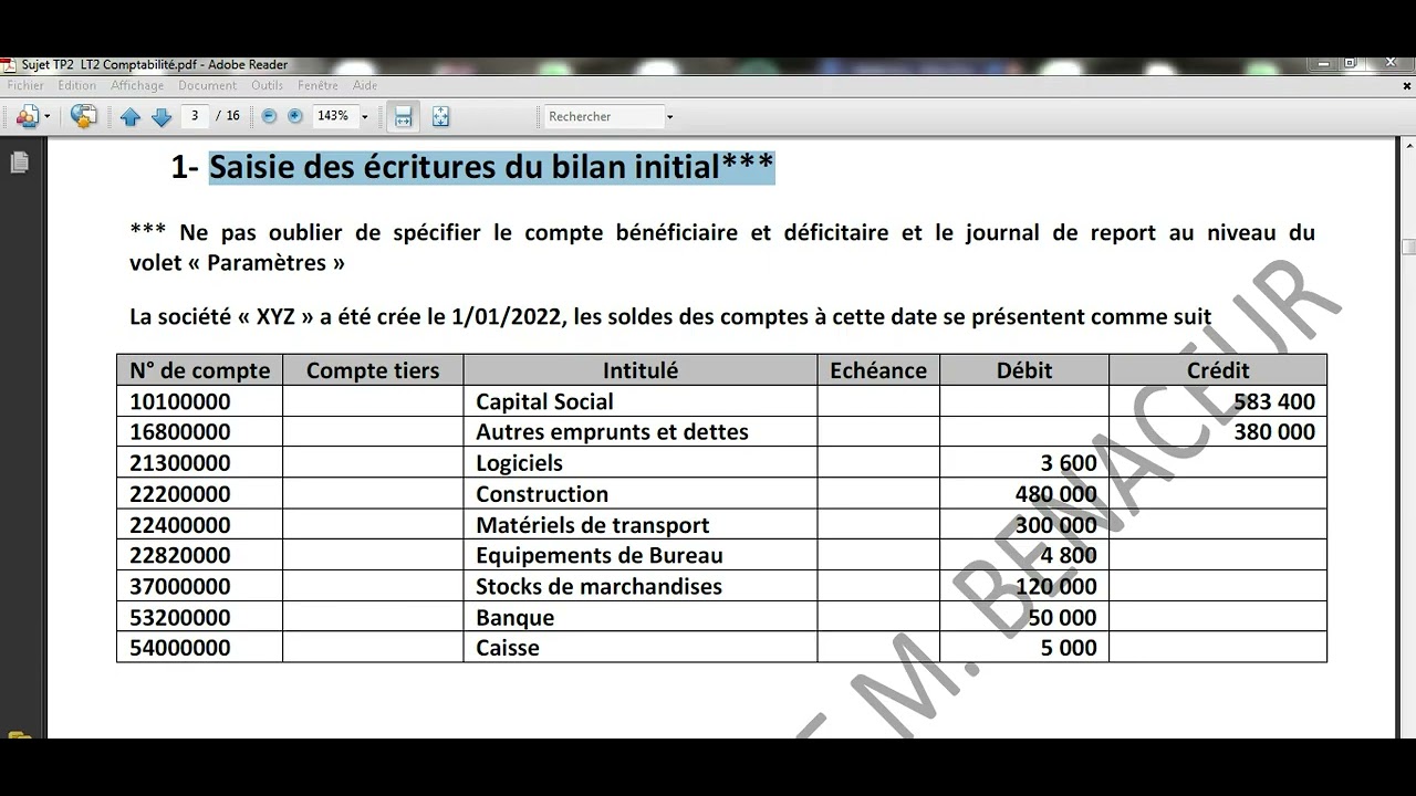 Section 2 1 Saisie du bilan initial - YouTube