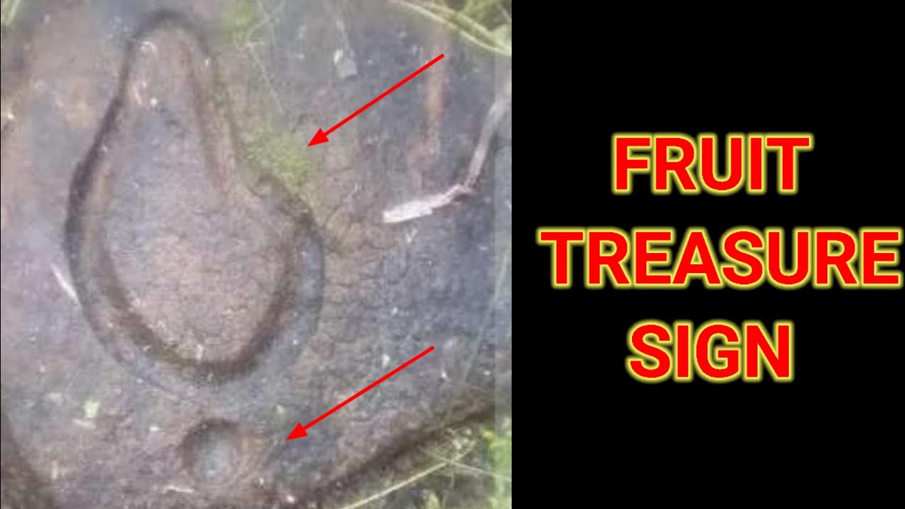 Bunga ng prutas bilang treasure signs? Legit nga ba? - YouTube