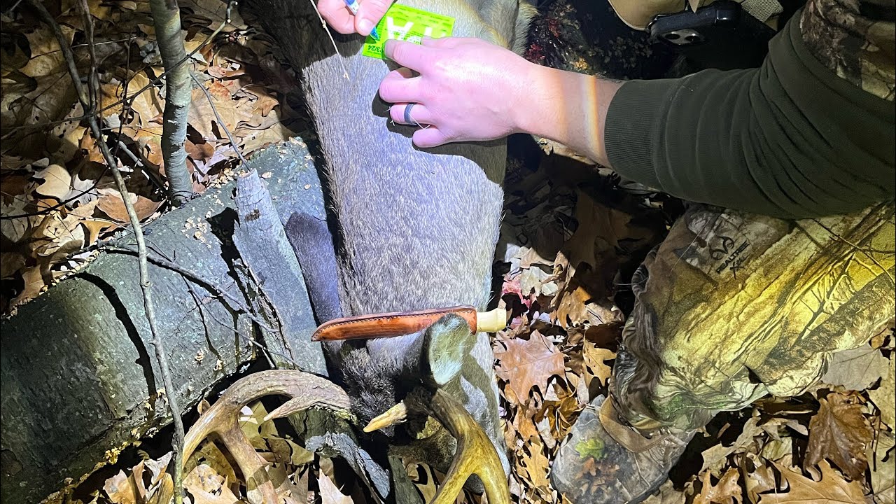 Join the Ocker boys as we recover my brother’s 2023 public land buck ...