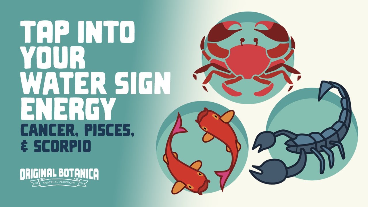 Water energy zodiac 60 photos - Youhoroscope.com