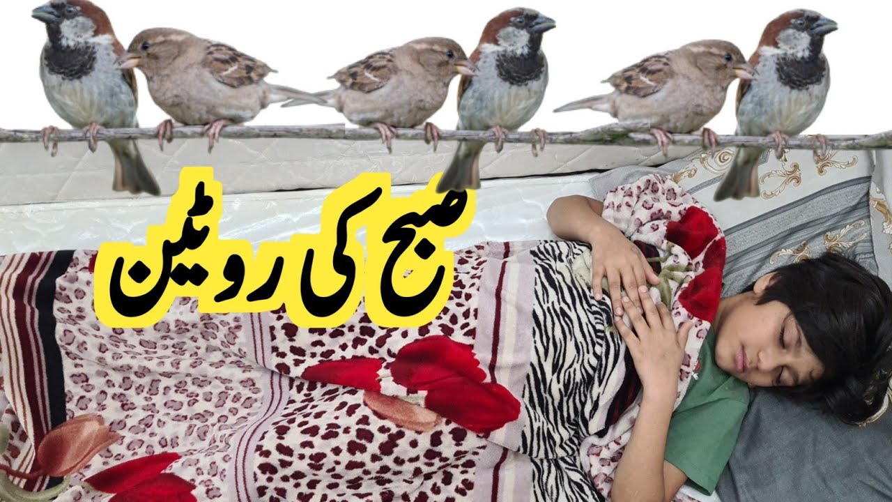 life in Oman || daily routine vlog || healthy breakfast ideas # ...