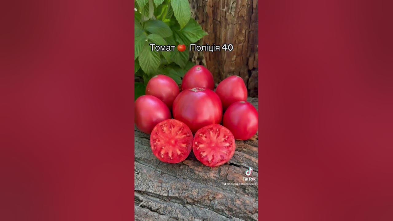 Томат 🍅 Поліція 40 - YouTube