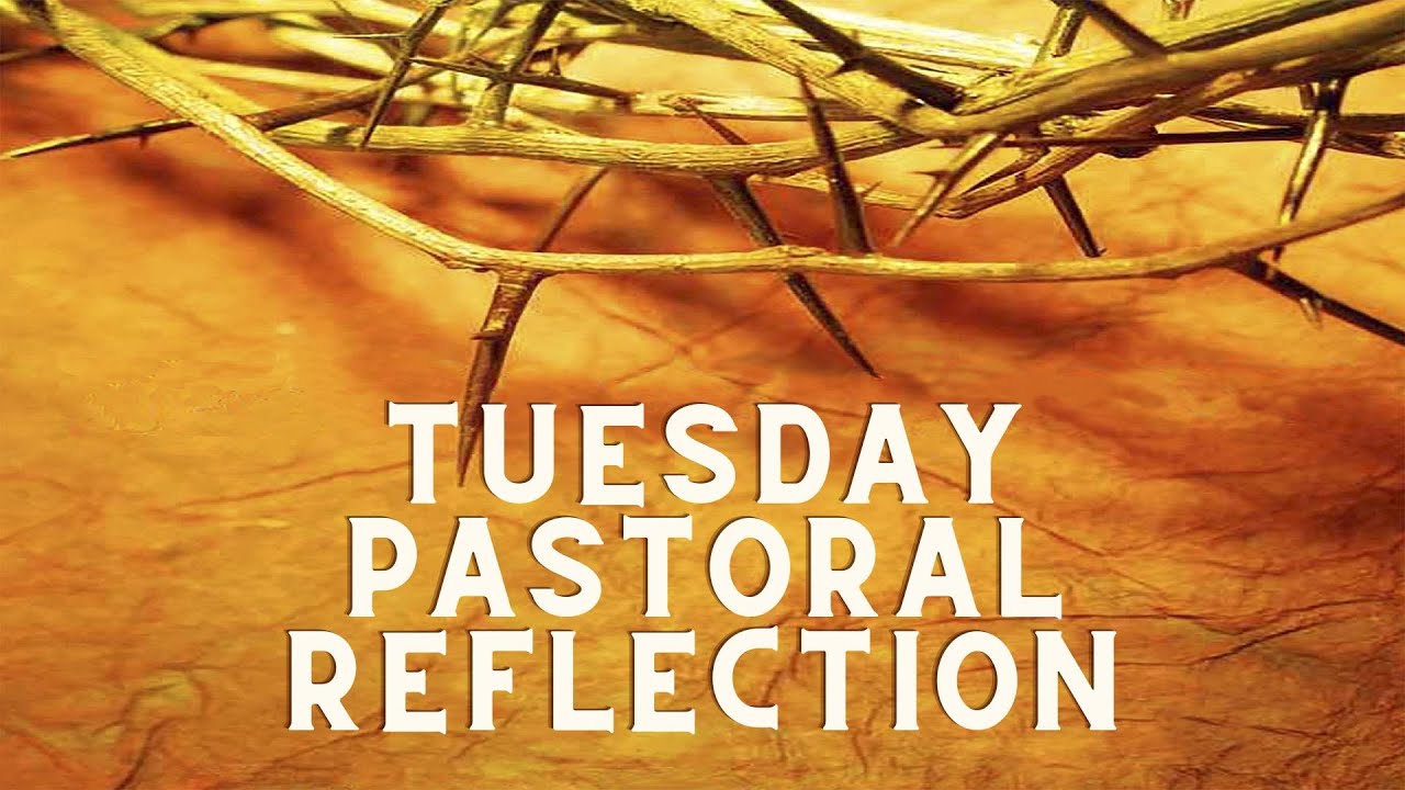 TUESDAY Pastoral Reflection - YouTube