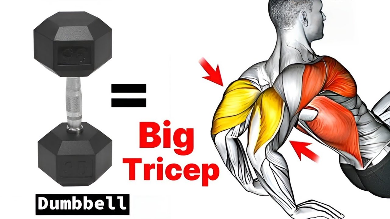 The Best Tricep Exercises At home (Dumbbell Only) - YouTube