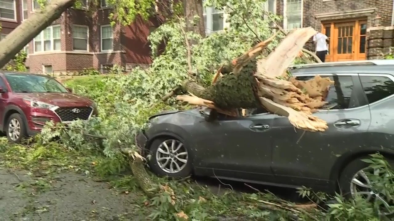 Tree falls onto building in St. Louis; residents shaken following ...