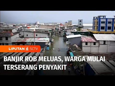 Banjir Rob Makin Tinggi, Warga Muara Angke Frustrasi | Liputan 6 - YouTube