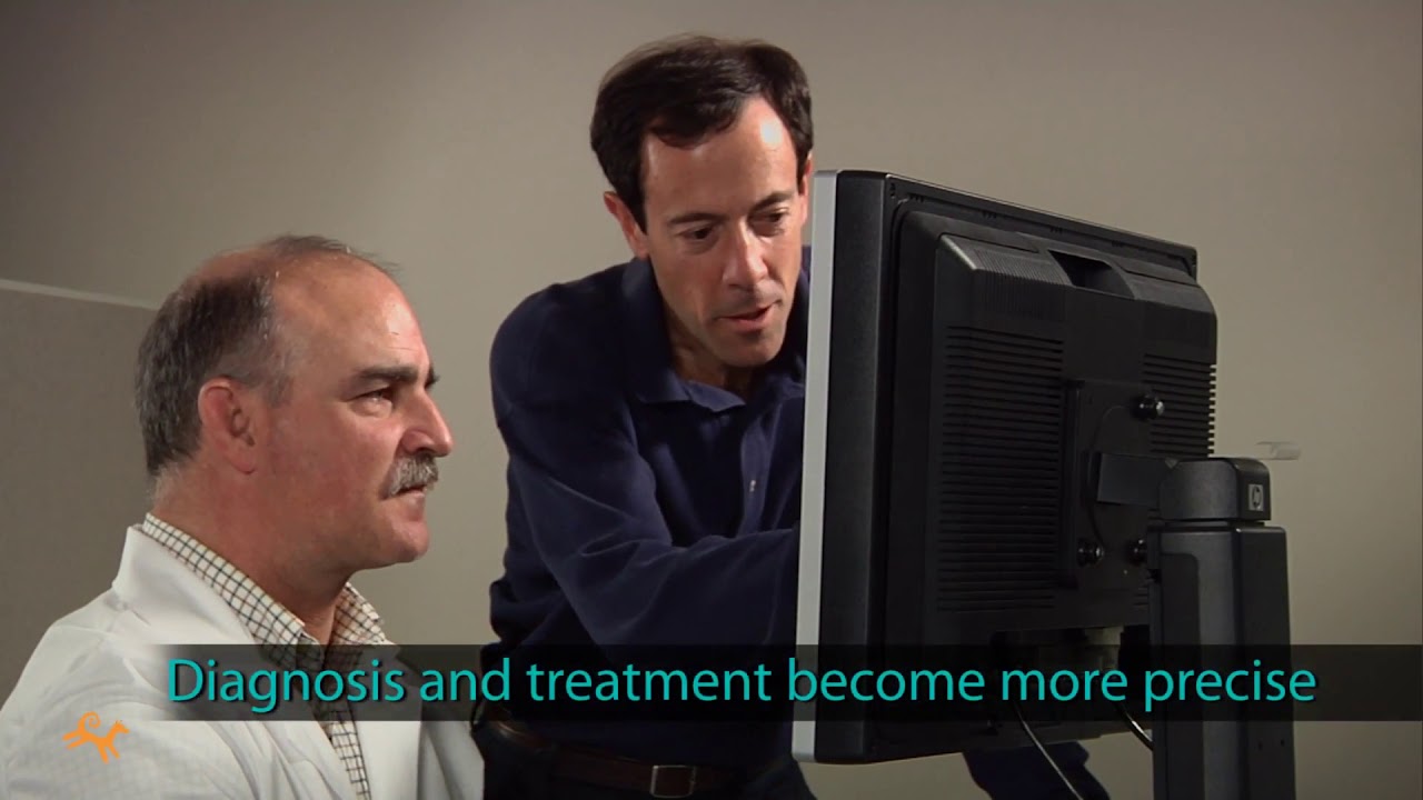 FIDEX Multi-Modality Veterinary CR/CT/Fluoroscopy Scanner - YouTube