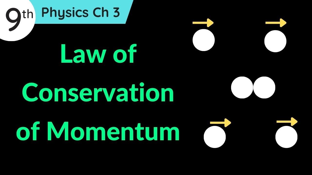 law of conservation of momentum class 9 physics chapter 3 | isolated ...