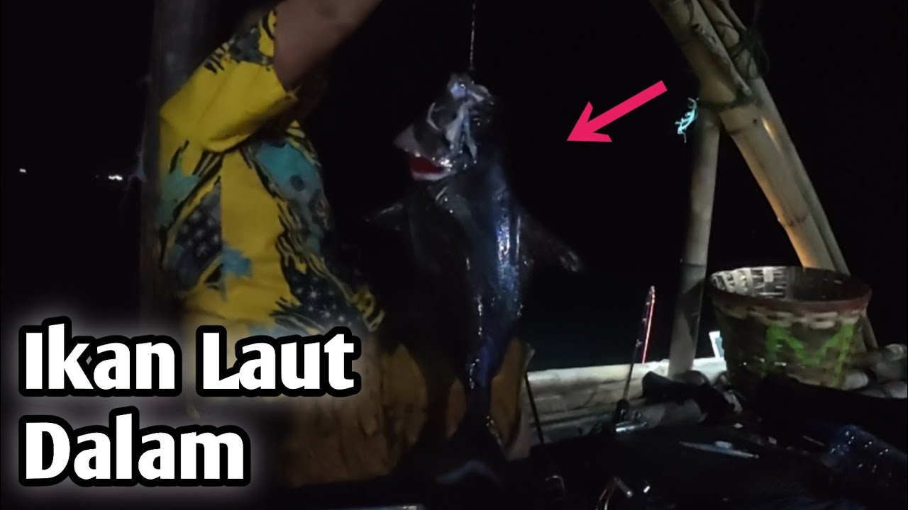 Mancing Di Bagan Pelabuhan Ratu || Badong Yanto Fishing Gacor - YouTube