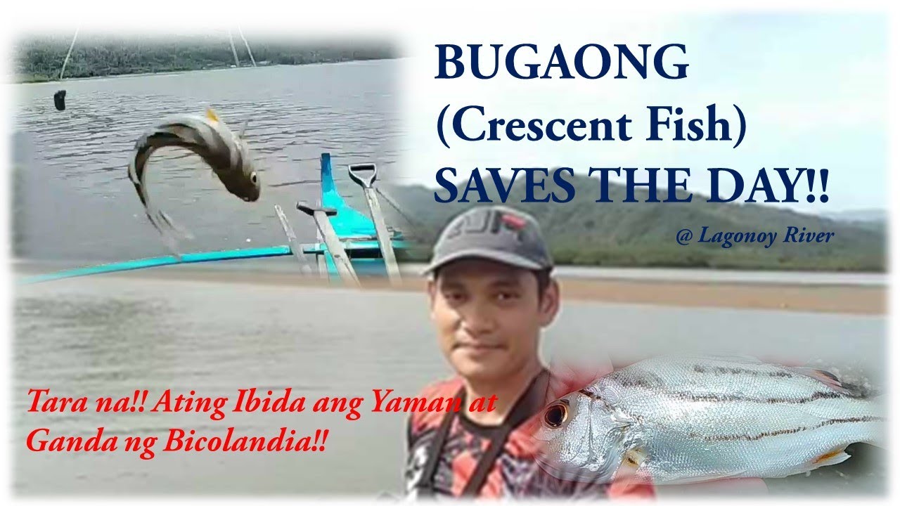 💯🎉🎣🐟BUGAONG (Crescent Fish) SAVES THE DAY!!! EP023 015 #shortvideo # ...