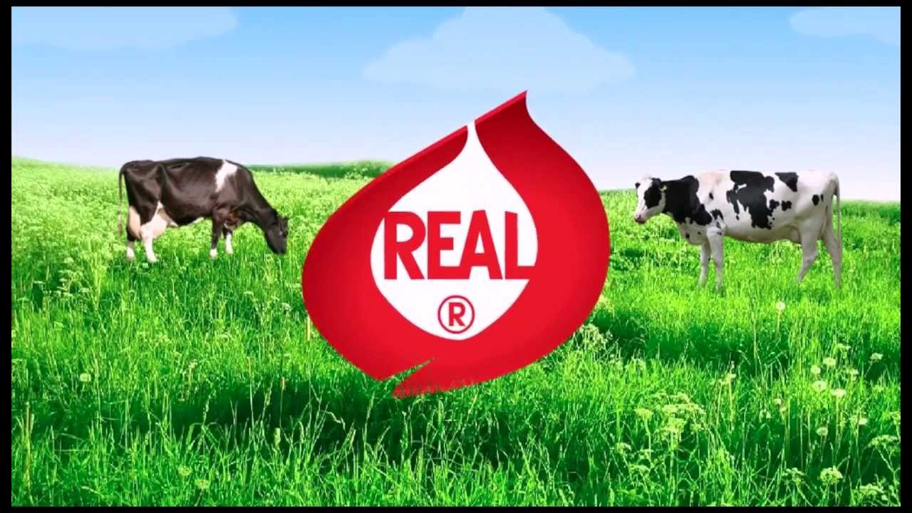 REAL® Seal Character - YouTube