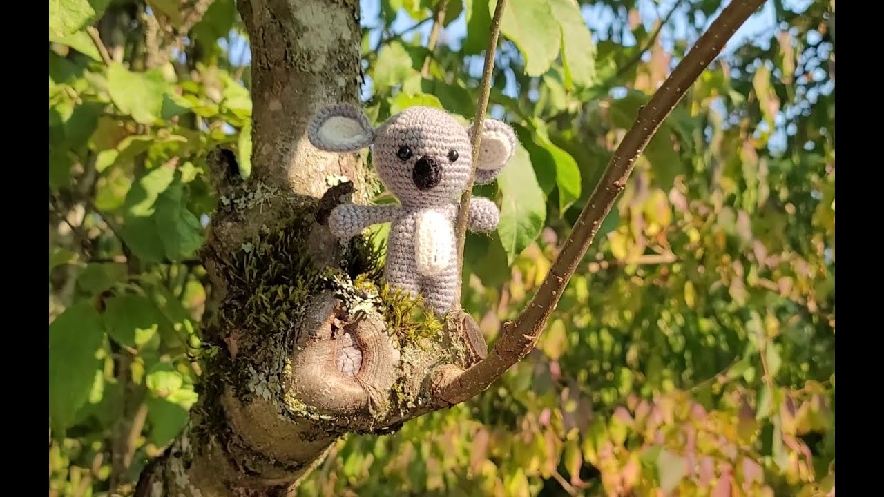 Rainbow and Dawn: Who is Hiding From Dawn Up in the Tree? Playful ...