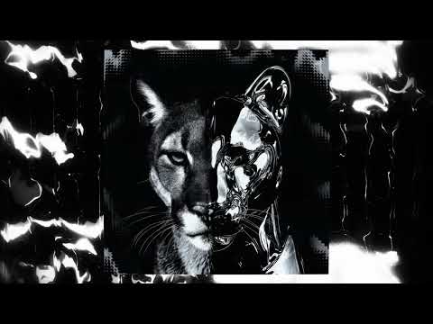 WHAT THE FRICK (Ultra Slowed)