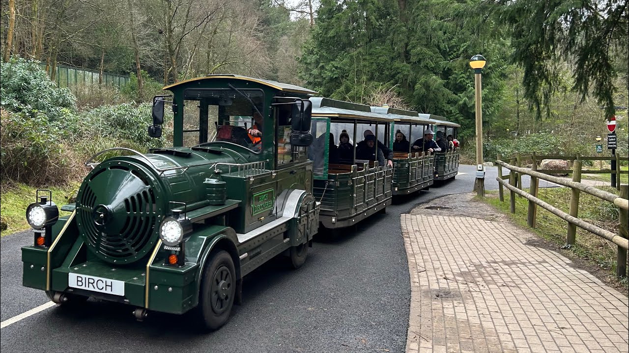 Center Parcs Train 🚂 journey around the pine 🌲 forest 🌳... - YouTube