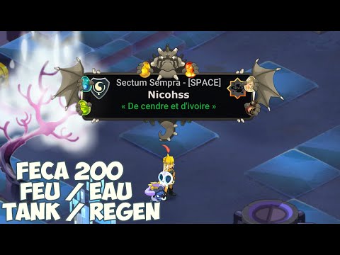 [Dofus] Feca feu/eau 200 ! Mode full tank/regen ! - YouTube