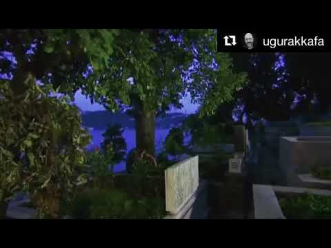 Adam olun akıllı olun