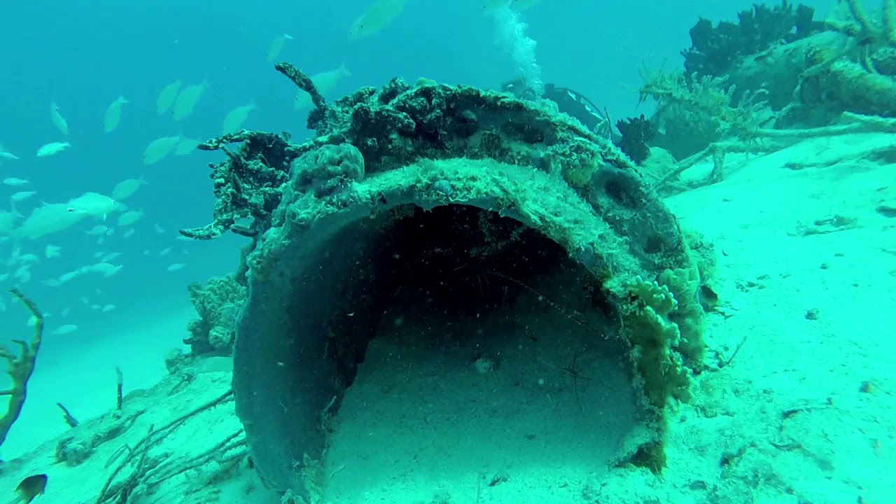 Coki Beach Dive Center: Xander Open Water Cert - YouTube