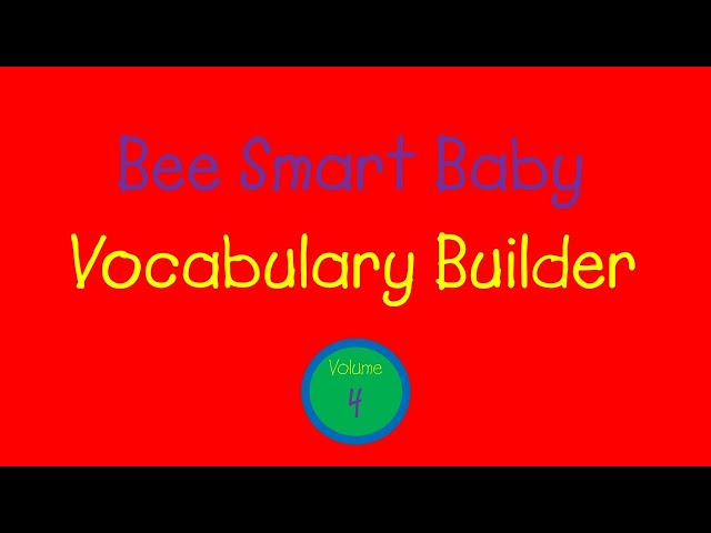 Bee Smart Baby 5