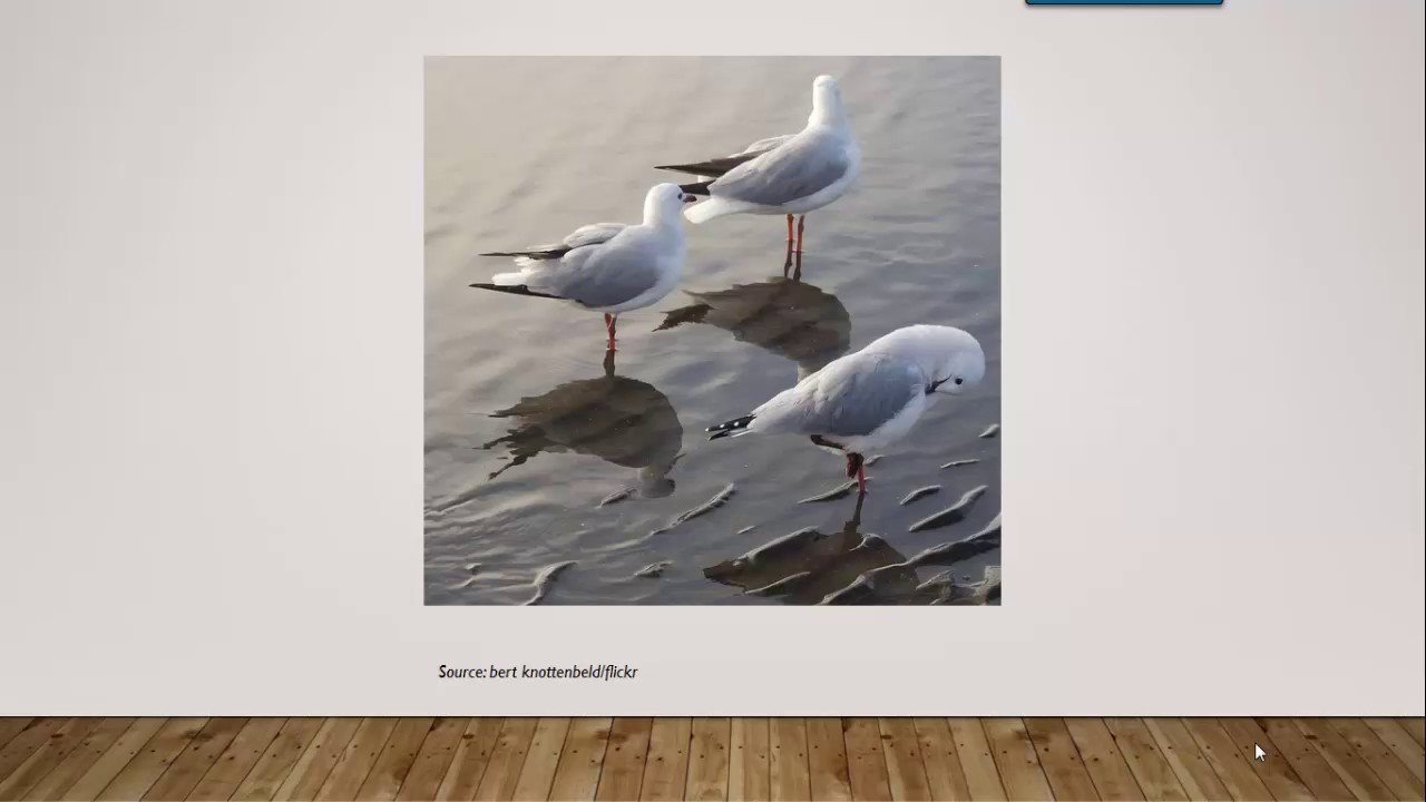 Part 5: Theories of reading comprehension: The Structure-Building Model ...