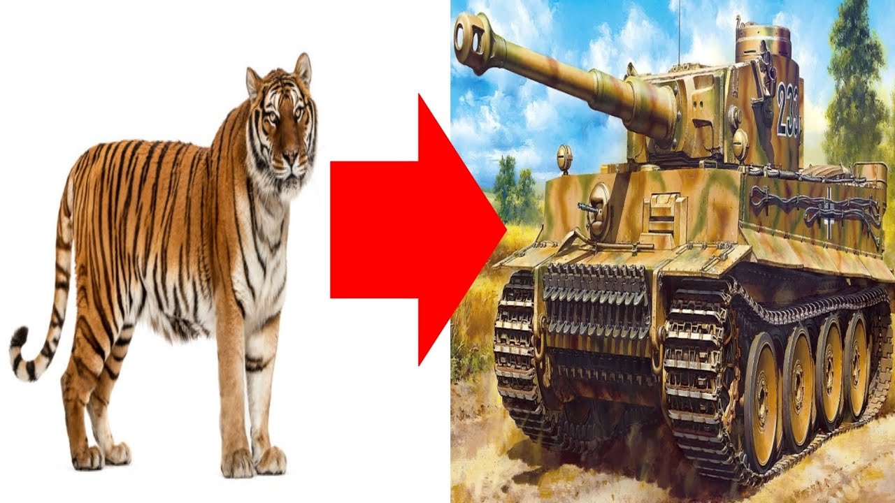 Tiger Tank Found - YouTube