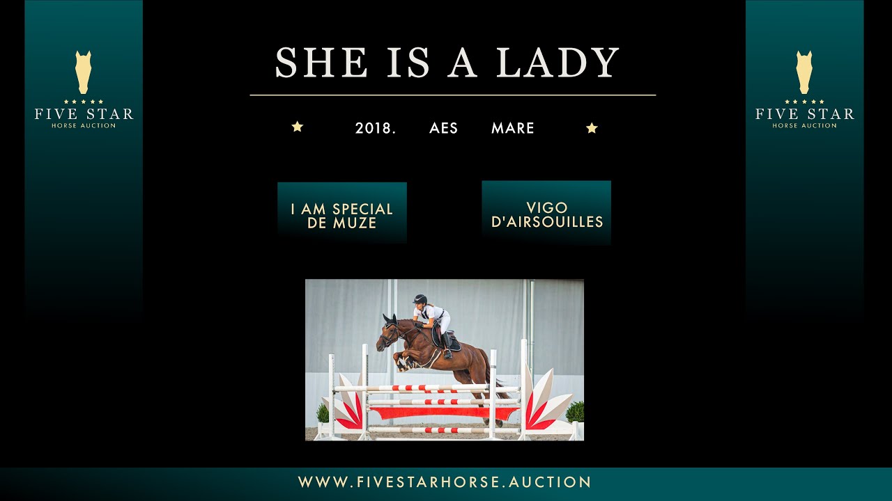 She is a Lady (I am Special de Muze - Vigo D' Arsouilles) 2018. KWPN ...