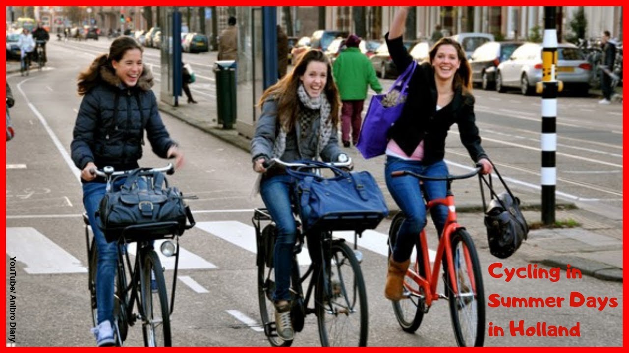 Cycling in Summer Days in Holland | Paradise For Cycling | Best Dutch ...