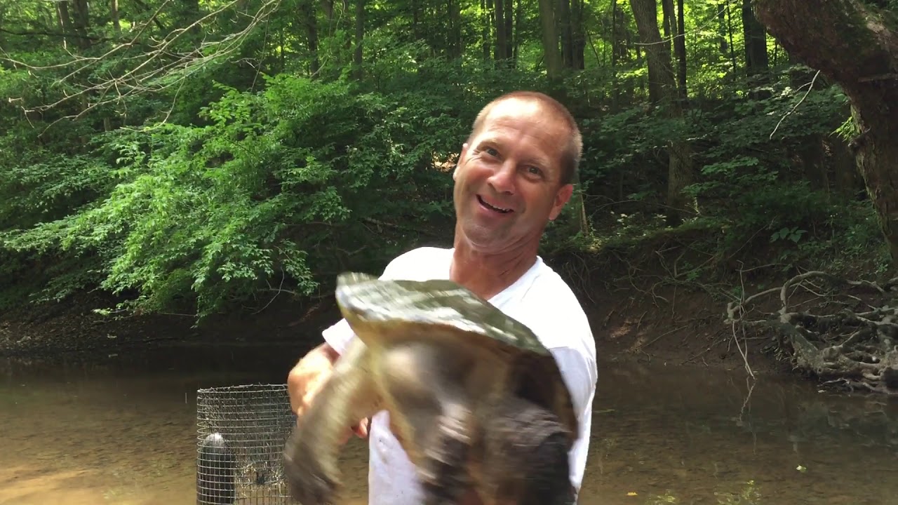 Turtle Trapping Cages - YouTube