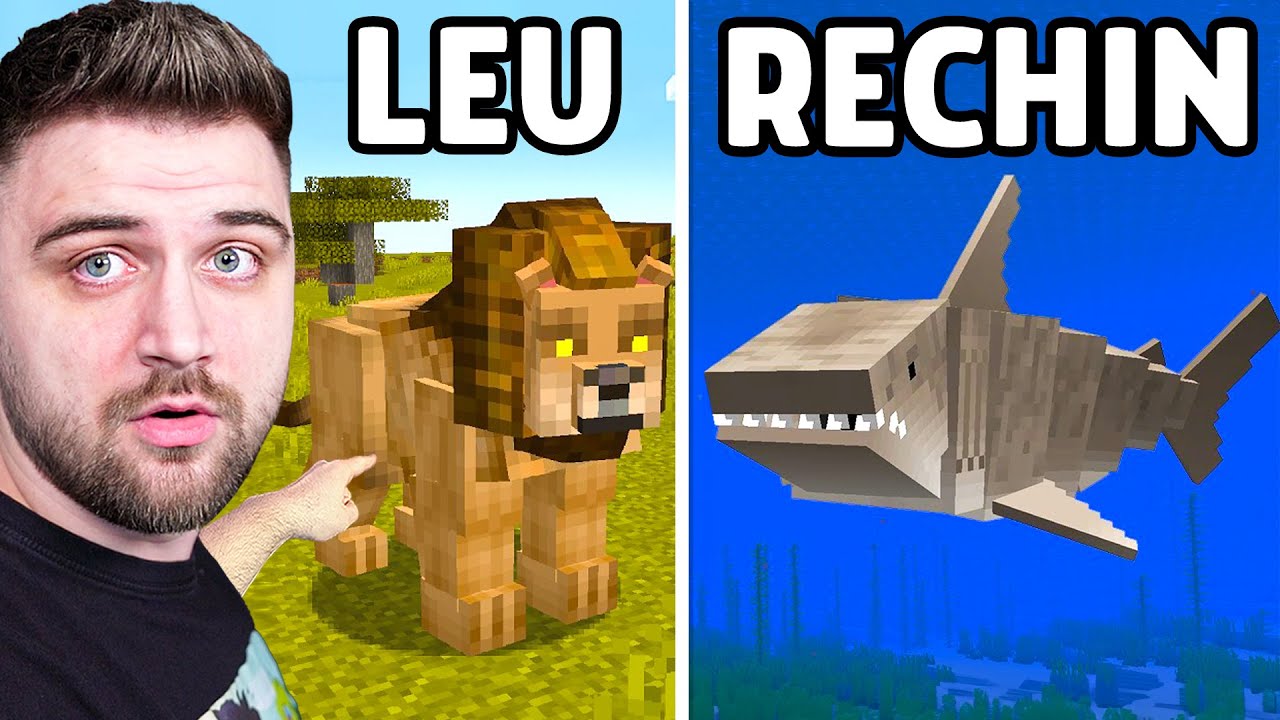 Testez *UPDATE-URI STERSE* din MINECRAFT... - YouTube