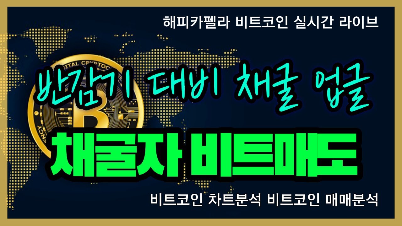 비트코인 실시간 채굴자 비트매도 반감기 대비 채굴기 업글 전략 27 아침💎 비트코인 비트코인실시간 이더리움 리플