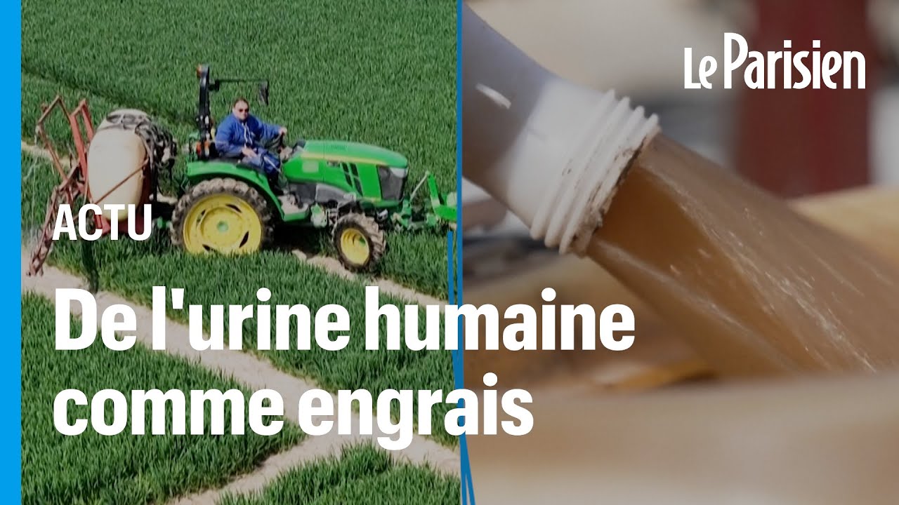 A Saclay, des agriculteurs utilisent de l'urine humaine comme engrais ...